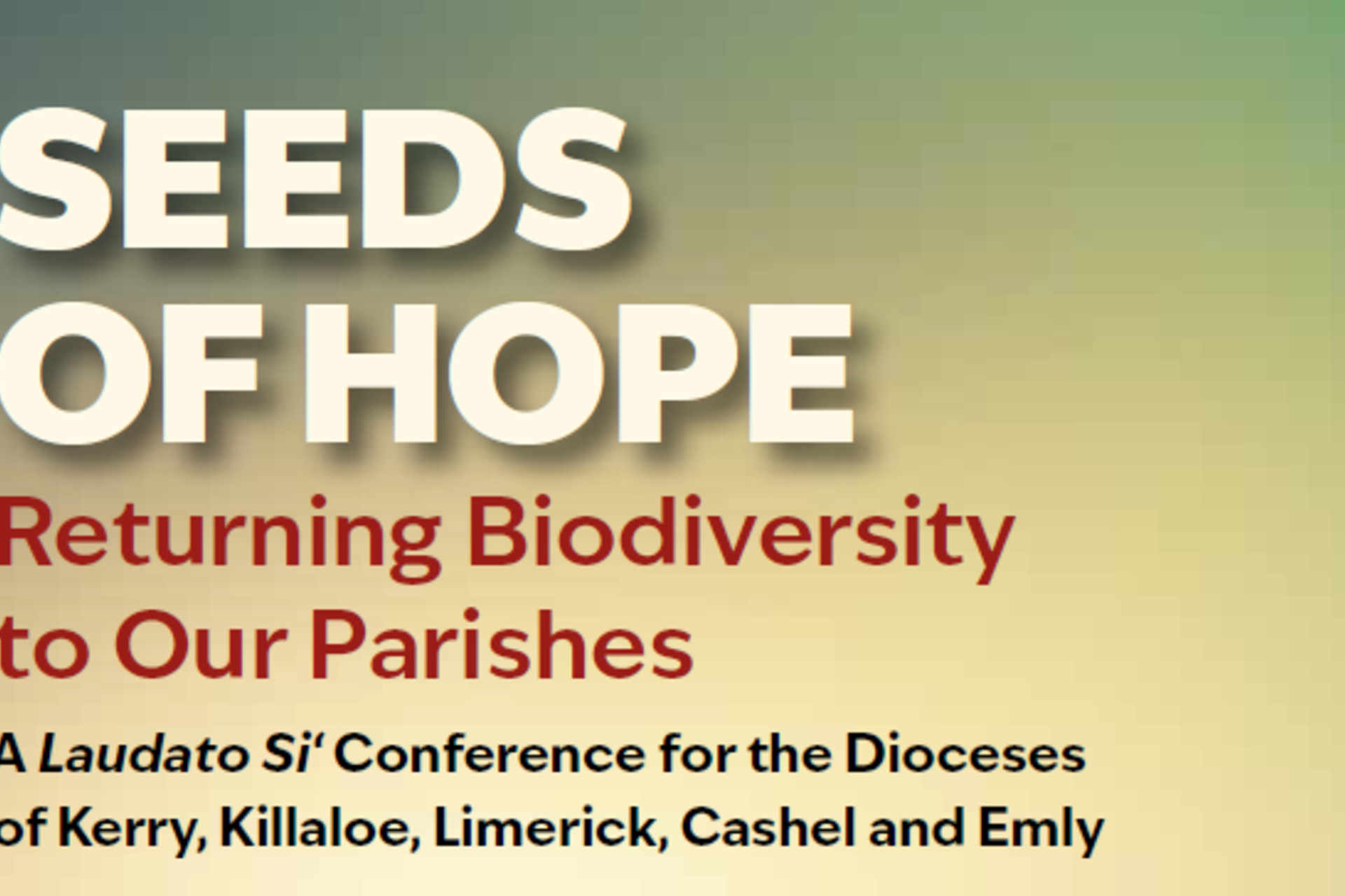 Advent Calendar - Limerick Diocese