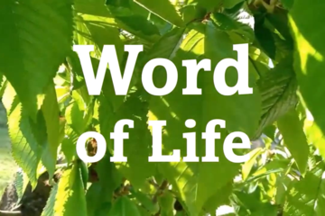 Home - Limerick Diocese