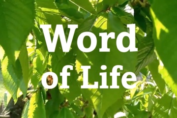 Home - Limerick Diocese